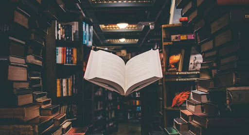 What Is a Central Idea in Literature? (+ Examples) – The Novel Factory